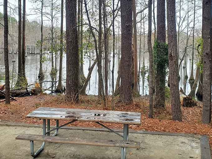 A bench, a view, and absolutely nowhere else you need to be right now. Perfect.