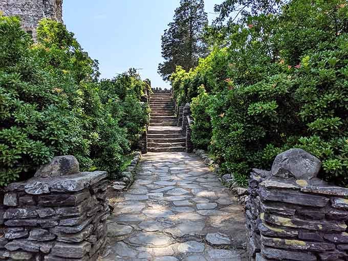 Stone steps framed by lush greenery, leading upward toward something extraordinary. This is the kind of path you follow without hesitation.