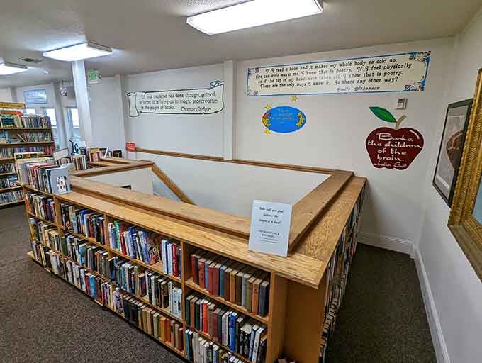 Dark shelves, bright spines, and enough mystery novels to keep you suspicious of everyone you know for months.