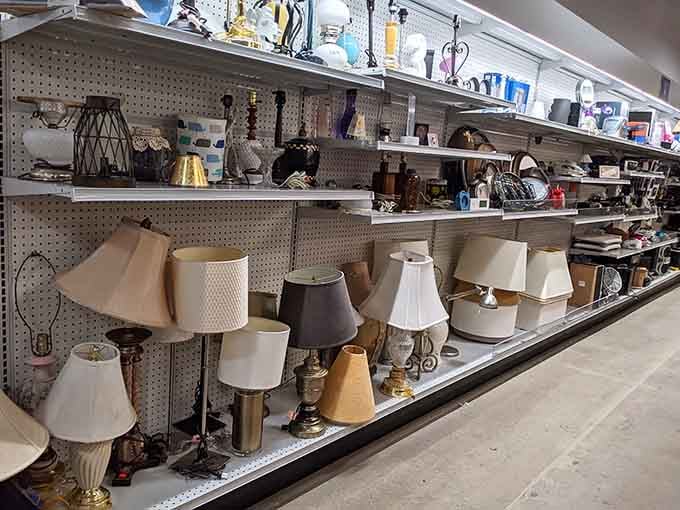 A whole row of lamps just waiting to brighten up that one dark corner of your living room.