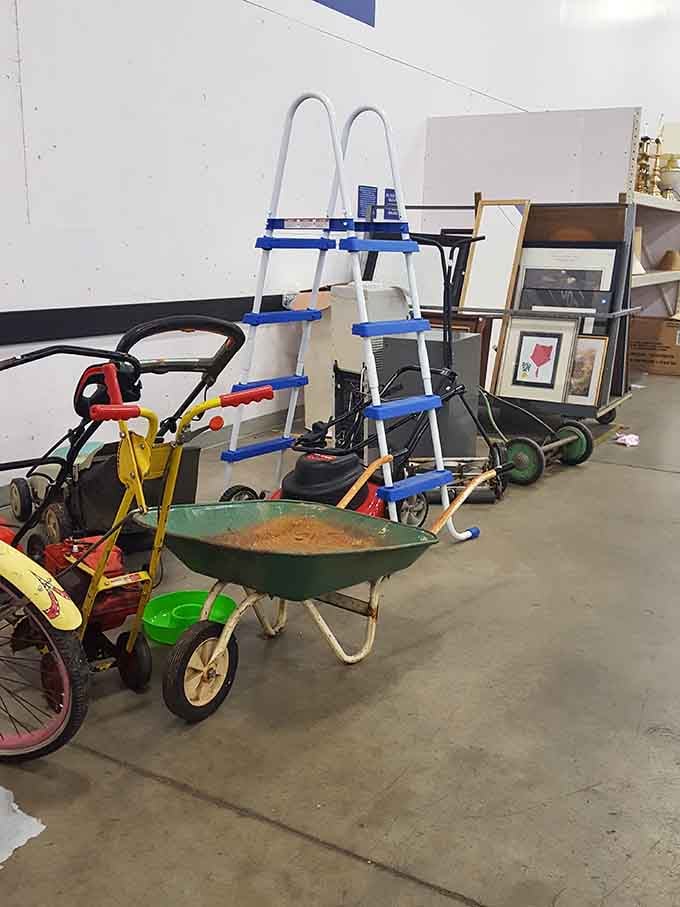 Lawnmowers, wheelbarrows, a pool ladder, and framed art, because at Goodwill Outlet, absolutely anything goes.