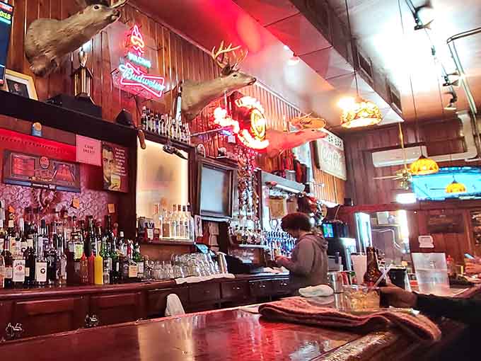 The bar itself is a shrine to taxidermy and neon, where drinks flow and stories get better.