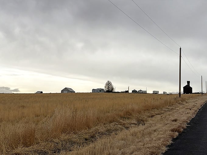 On overcast days, Gravity Hill takes on a whole different mood. Moody, cinematic, and wonderfully strange.