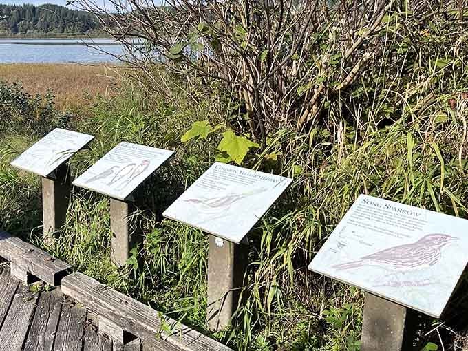 Educational markers teach you about local species, turning your casual stroll into an accidental biology lesson without homework.