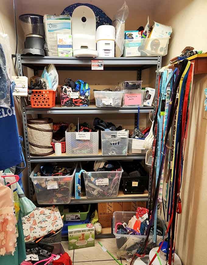 Pet supplies, collars, harnesses, and feeders fill these shelves, because HALO never forgets who this whole operation is really for.