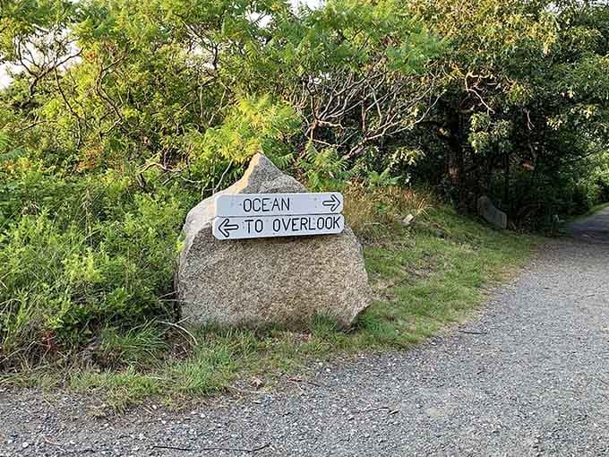 Even the directional signs here are charming, mounted on granite boulders because why use boring posts when you've got rocks everywhere.