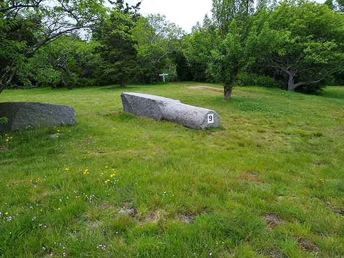 Massive granite pieces lie scattered like a giant's abandoned building blocks, numbered reminders of the quarrying days.