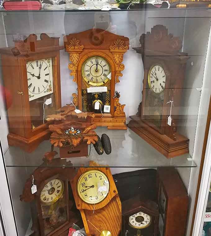Antique clocks frozen behind glass, each one a reminder that time, beautifully crafted, never really goes out of style.