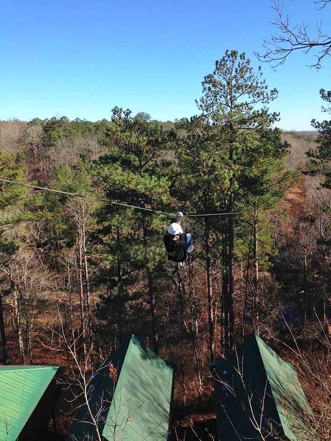 Flying through the canopy on a zip line beats your daily commute by approximately one million percent, give or take.