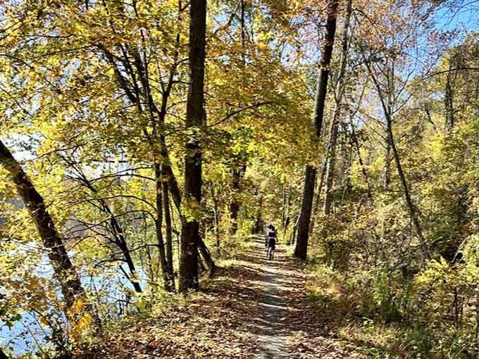 Fall colors along the trail turn a simple bike ride into a moving masterpiece of nature's best work.