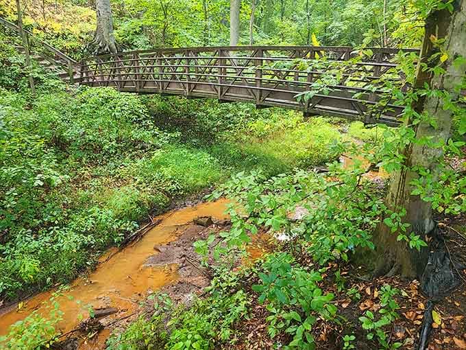 A wooden footbridge arches over a rust-colored creek tucked deep in the woods. Middle-earth called, and it's in New Jersey.