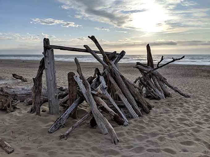 Someone built a driftwood shelter here, and honestly, it's the most creative real estate on the Oregon coast.