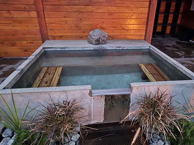 Concrete, warm water, and open sky. The original spa experience, no fancy branding required.