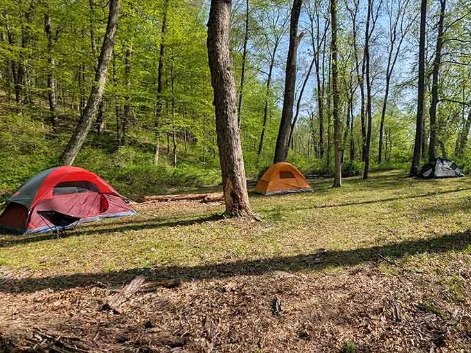 Tents tucked among spring trees at Hurd's campsite. Falling asleep to birdsong beats any hotel alarm clock.
