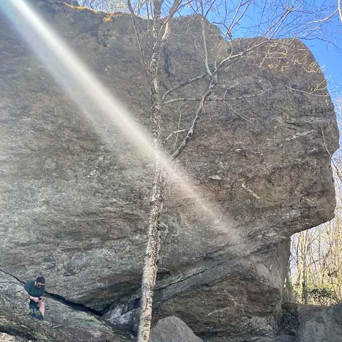 Sunlight hitting ancient rock like a spotlight. Even the sky knows this boulder deserves a dramatic entrance.