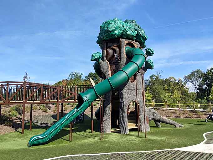 That tree-house slide proves that getting down can be just as thrilling as climbing up.