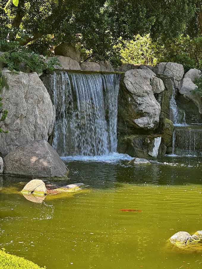 Water cascading over layered rock while a single koi drifts below. Nature put on a whole show here, no ticket required.