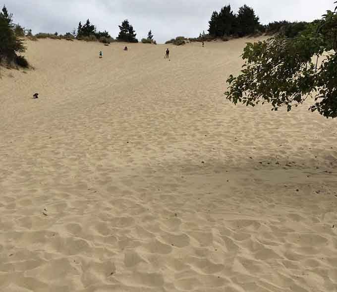 These dunes don't care about your fitness level. They'll humble you and reward you in equal measure.