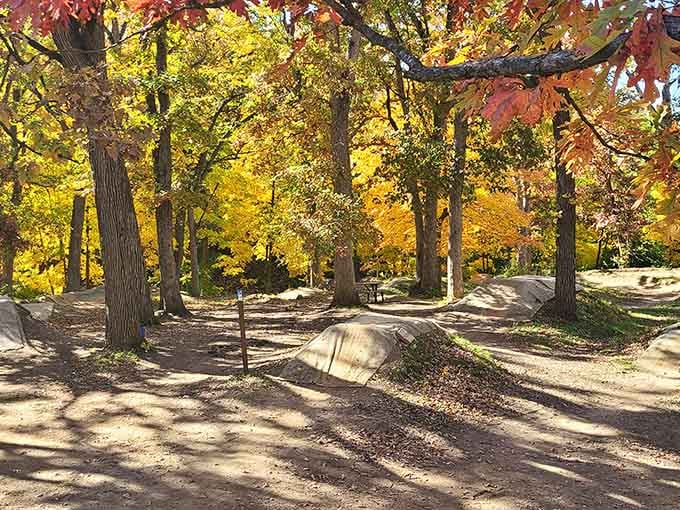 Rollers and berms bathed in fall light, looking like the world's most beautiful obstacle course.