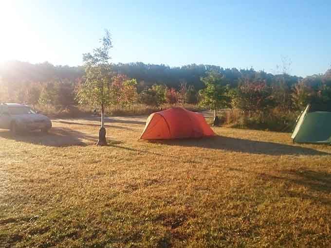 Camping under an open sky with fall colors on the horizon, this is what a good weekend actually looks like.