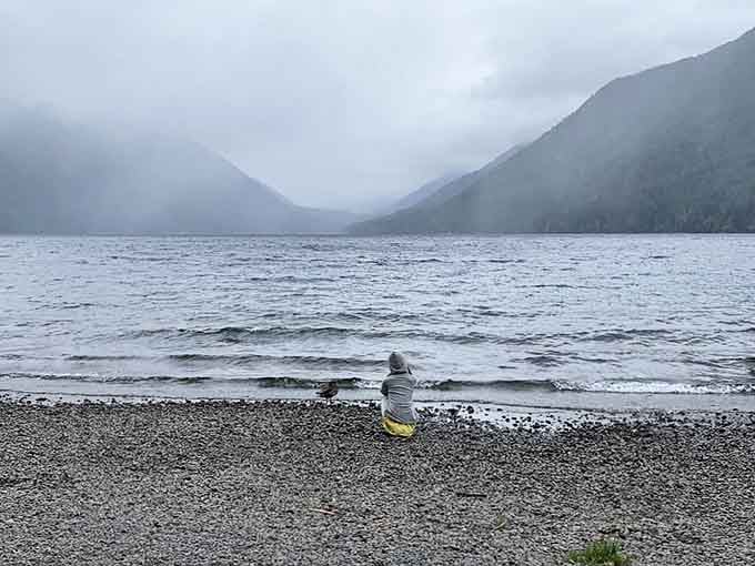 Even on a grey day, Lake Crescent delivers. Sometimes moody is exactly the right vibe.