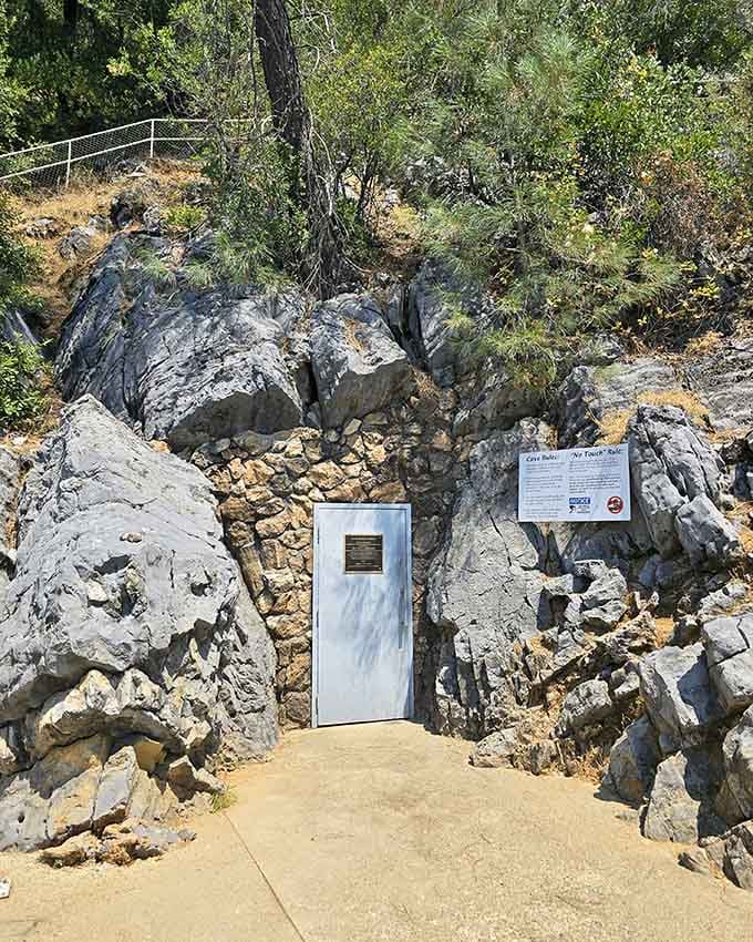 Behind this unassuming door lives one of California's most breathtaking natural wonders. Understatement of the geological era.