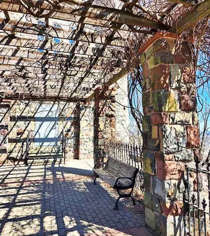 A rustic pergola draped in bare vines, stone columns, and a bench that's basically begging you to sit.
