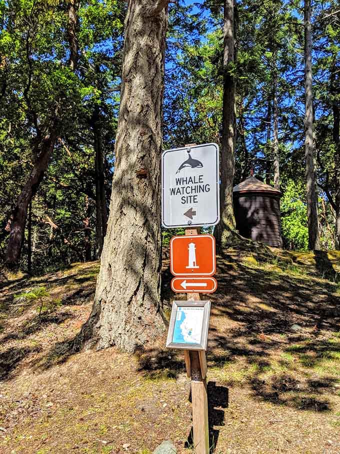 Follow the signs to prime viewing areas where naturalists set up scopes and share their encyclopedic knowledge.