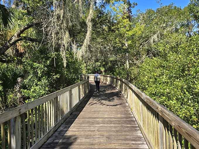 Boardwalks like this remind you that the best views come without a velvet rope.