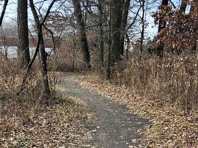 Nature trails wind through the area, offering peaceful walks for those seeking solitude among the trees.