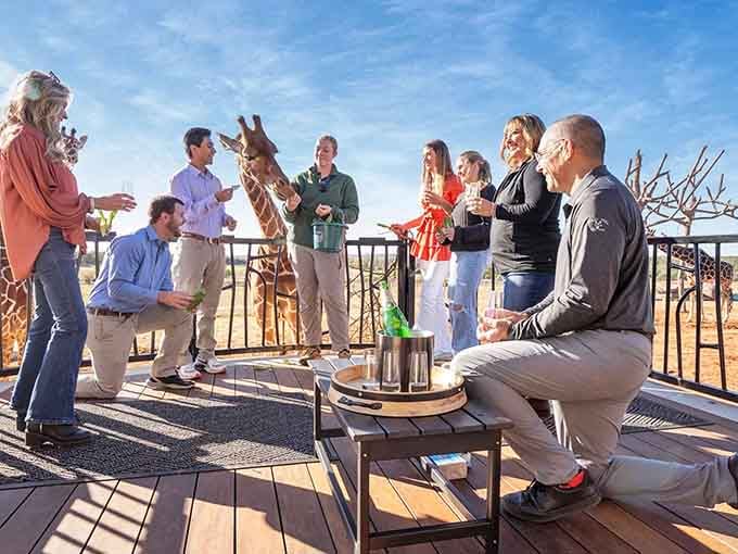Raising a glass while a giraffe photobombs your party is the kind of story you'll be telling for decades.