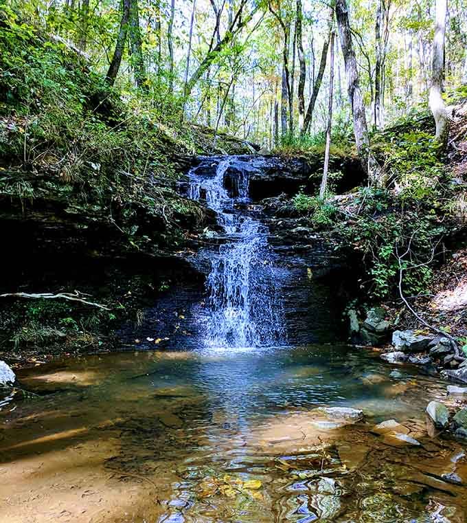 A hidden waterfall that looks like it belongs in a movie, except the admission here is absolutely free.