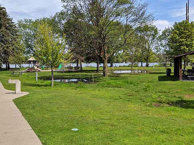 Green grass, scattered trees, and a glimpse of open water make Stephenson Island Park the kind of place you accidentally spend three hours in.