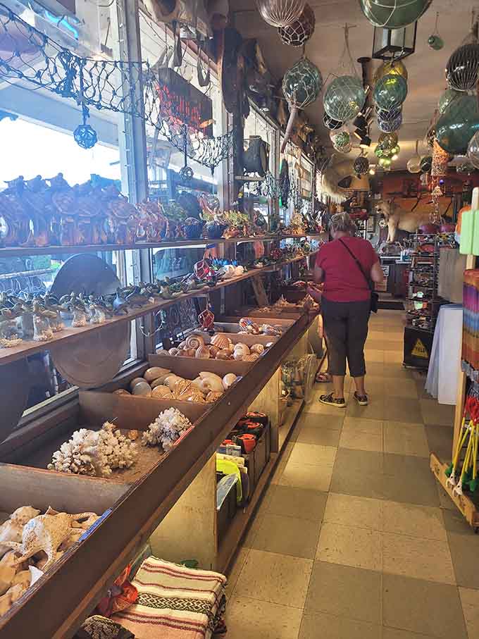 Rows of seashells, coral, and figurines stretch toward the back, with glass floats dangling overhead like a coastal fever dream.