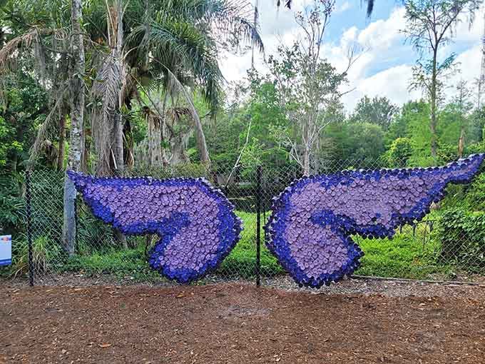 Giant purple butterfly wings made for one thing. Stand between them and let someone take your photo.