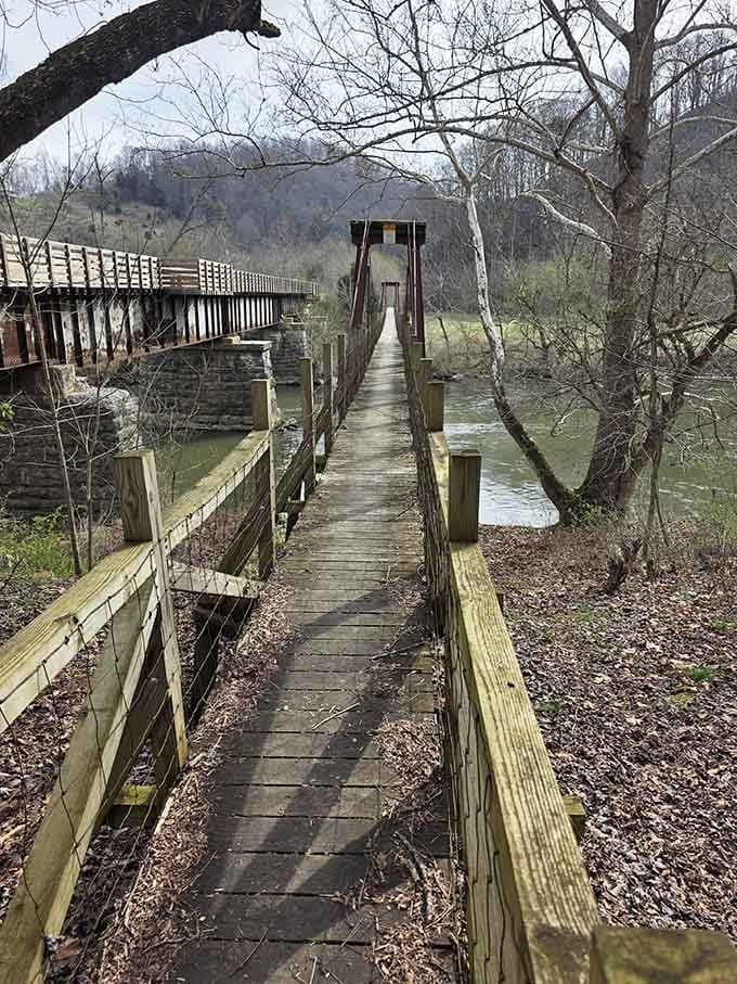 The swinging bridge stretches out ahead like an invitation you'd be foolish to decline. Go ahead, take the first step.