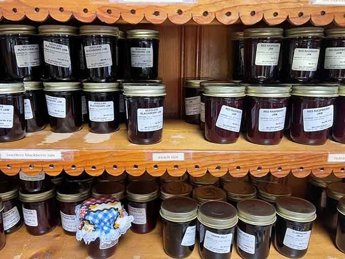 Shelves of seedless blackberry jam, red raspberry jam, and grape jelly, lined up like edible trophies.