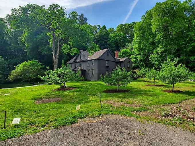 Preserved colonial buildings showcase 18th-century life, complete with authentic details that make history feel touchably real.