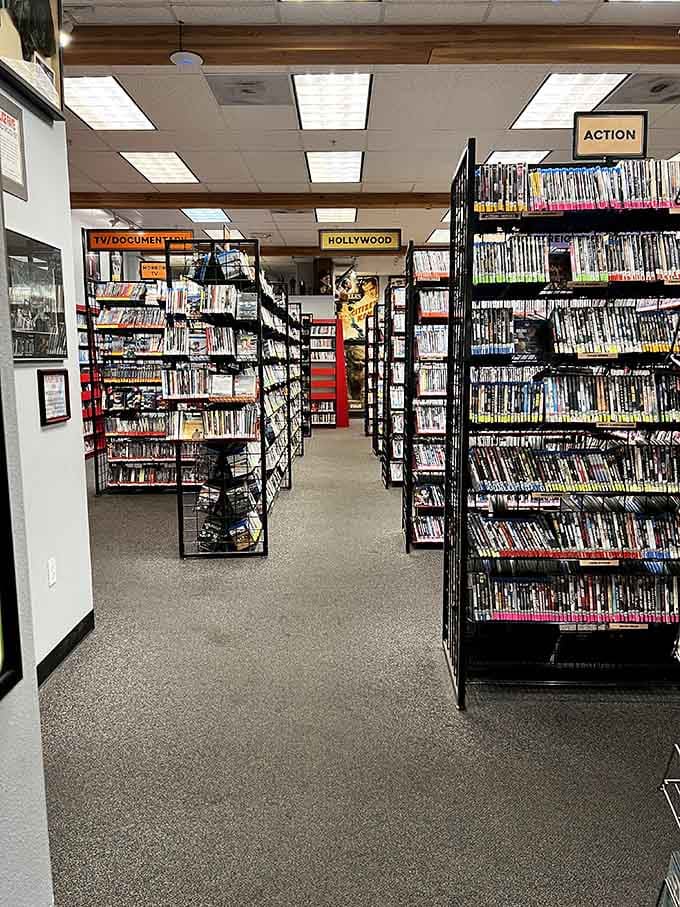 Genre signs guide you through the maze, though spontaneous detours often yield the best discoveries of all.