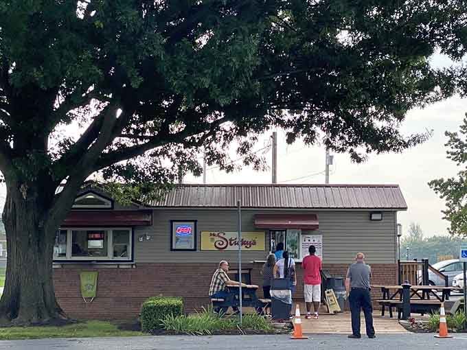 The line at the window tells you everything you need to know before you've even tasted a single bite.