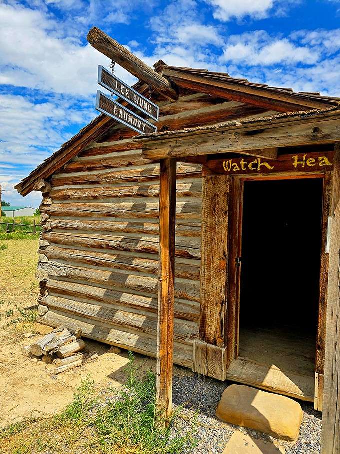 Lee Wong Laundry tells the often-overlooked story of Chinese immigrants who helped build the American West with determination.