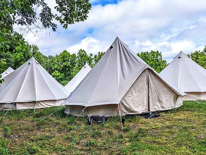 Glamping tents offer comfort for those who want nature with a side of civilization, no judgment here.