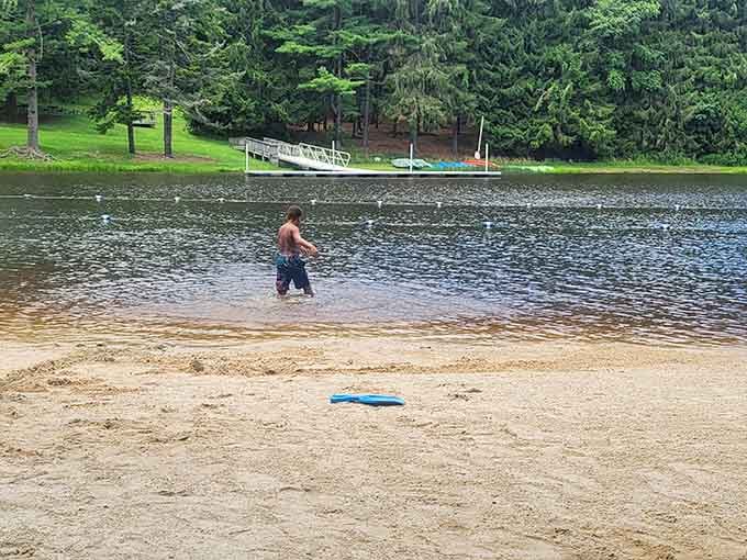 Sandy beaches meet mountain lakes in this unexpected combination that feels almost geographically impossible but delightfully real.