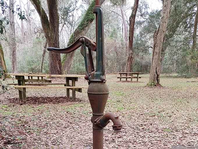 Picnic tables and an old hand pump tucked beneath the trees &mdash; even the rest stop here has old-world charm.