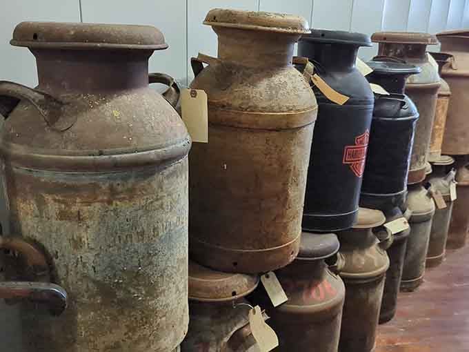 A row of antique milk cans standing at attention, each one with a story older than your favorite recipe.
