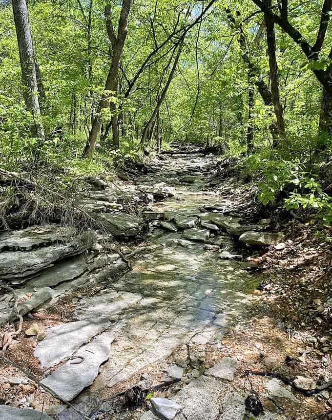 The rocky creek bed stretches ahead like a natural highway, inviting you to just keep going a little further.