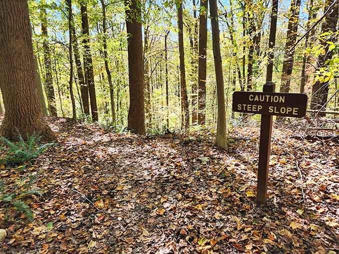 When a park warns you about steep slopes, it's basically daring you to prove you're still spry.