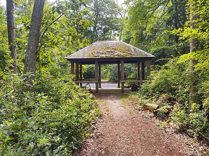 A mossy pavilion tucked into the trees, the kind of quiet spot that makes you want to stay all afternoon.
