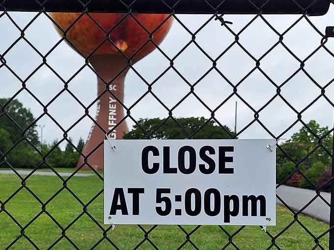 The viewing area closes at 5:00pm, so plan your pilgrimage accordingly for the perfect Instagram moment, friends.