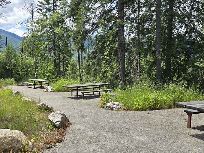 Picnic tables tucked among tall pines near Peewee Falls. Lunch with a view has never been so literal.
